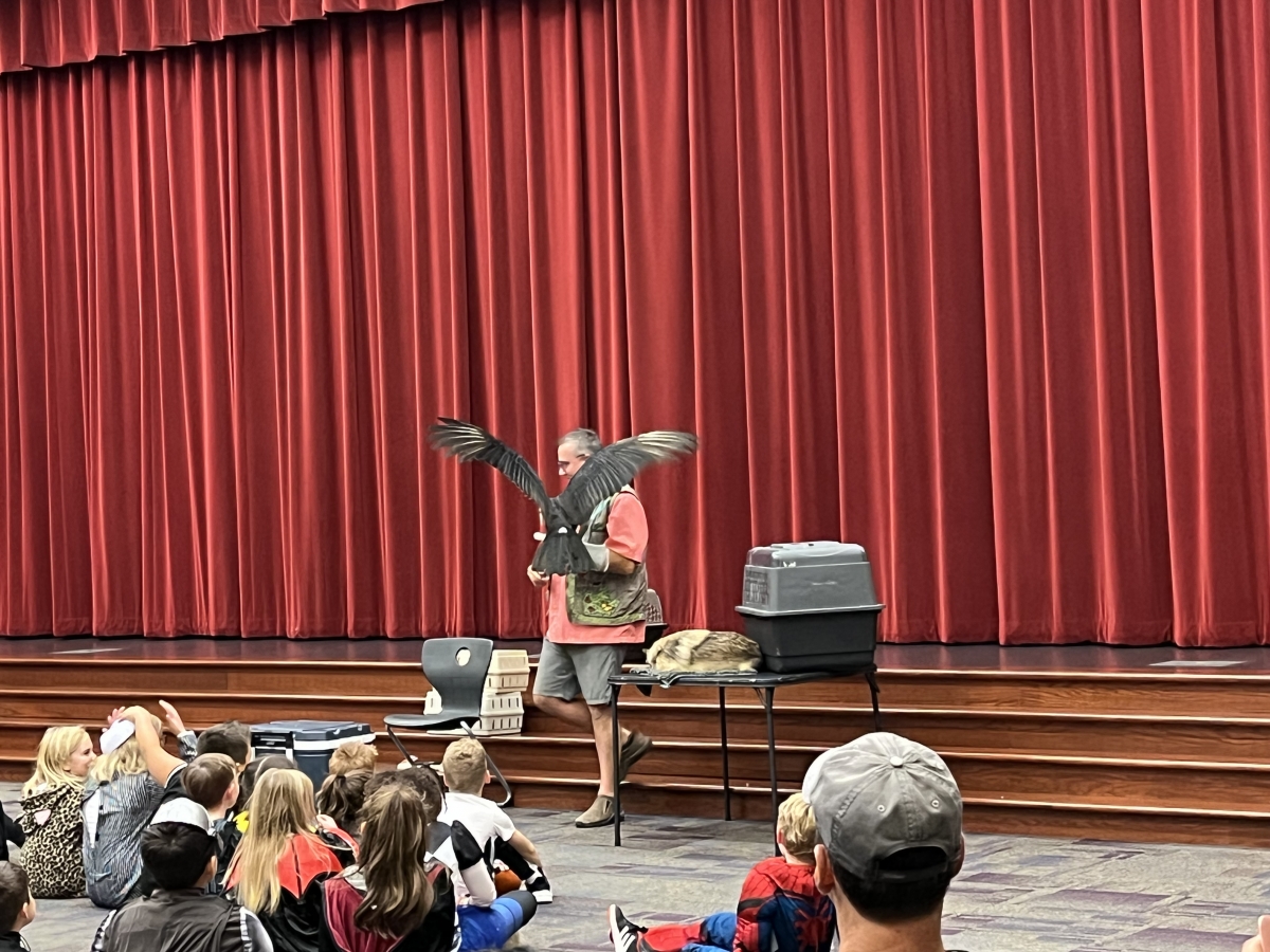 Home - Protsman Elementary School