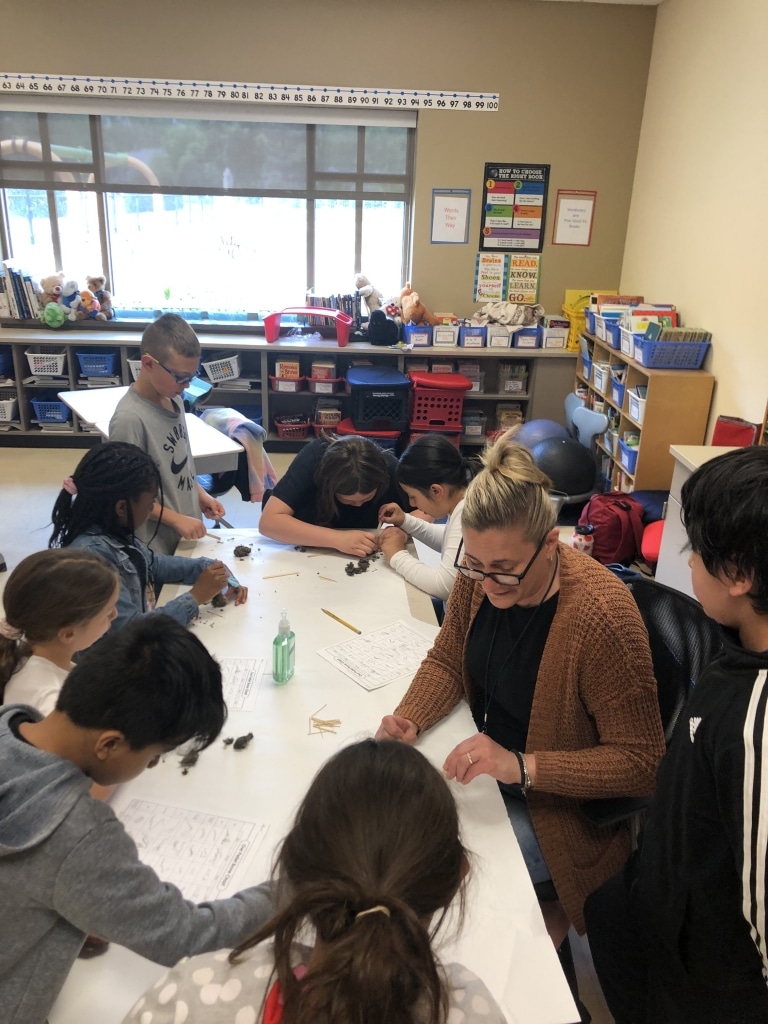 Home - Protsman Elementary School