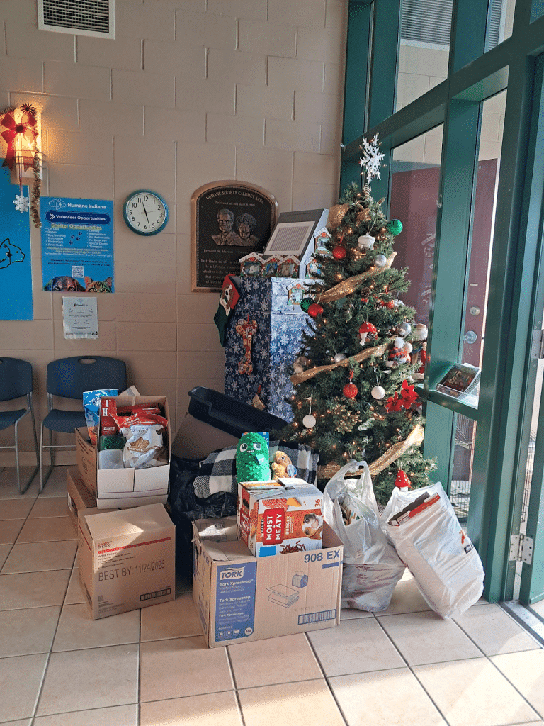 Home - Protsman Elementary School